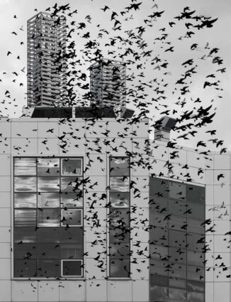 Kunstbilder weltweit: SCHWARZWEISS 2024 « Reisen mit Muße, entspannt leben